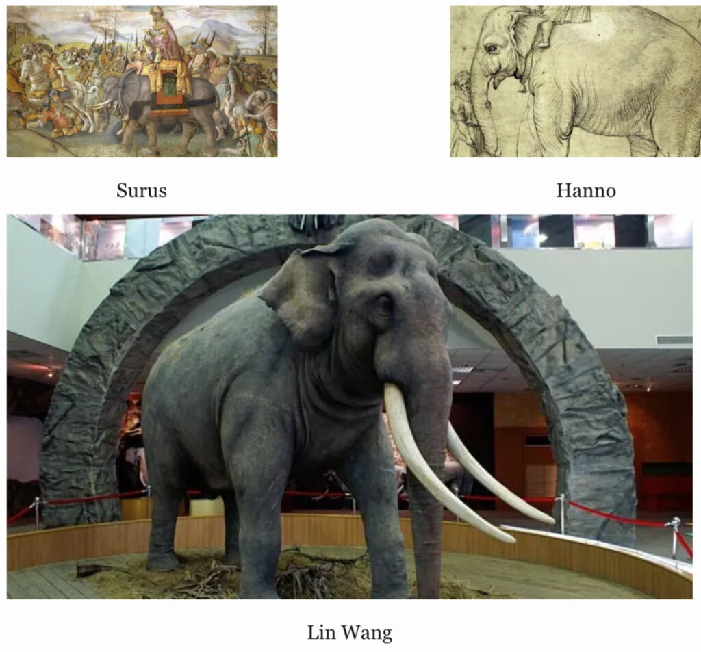 Python Made Easy With Posit Part 1: Reporting - Posit