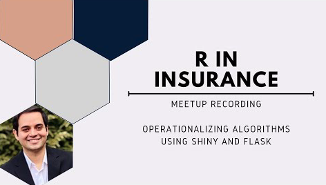 R in Insurance - Posit