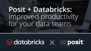 Databricks - Posit
