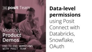 Databricks - Posit