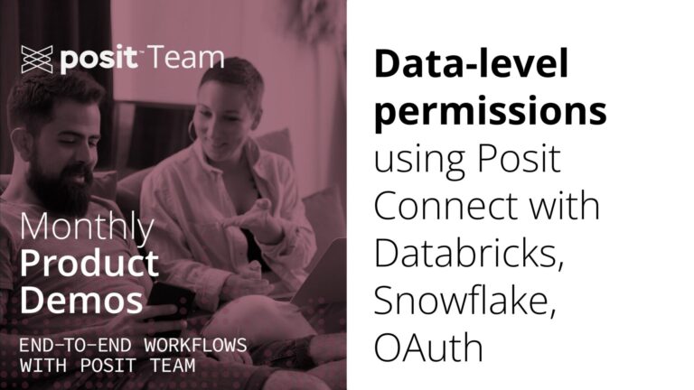 Databricks - Posit